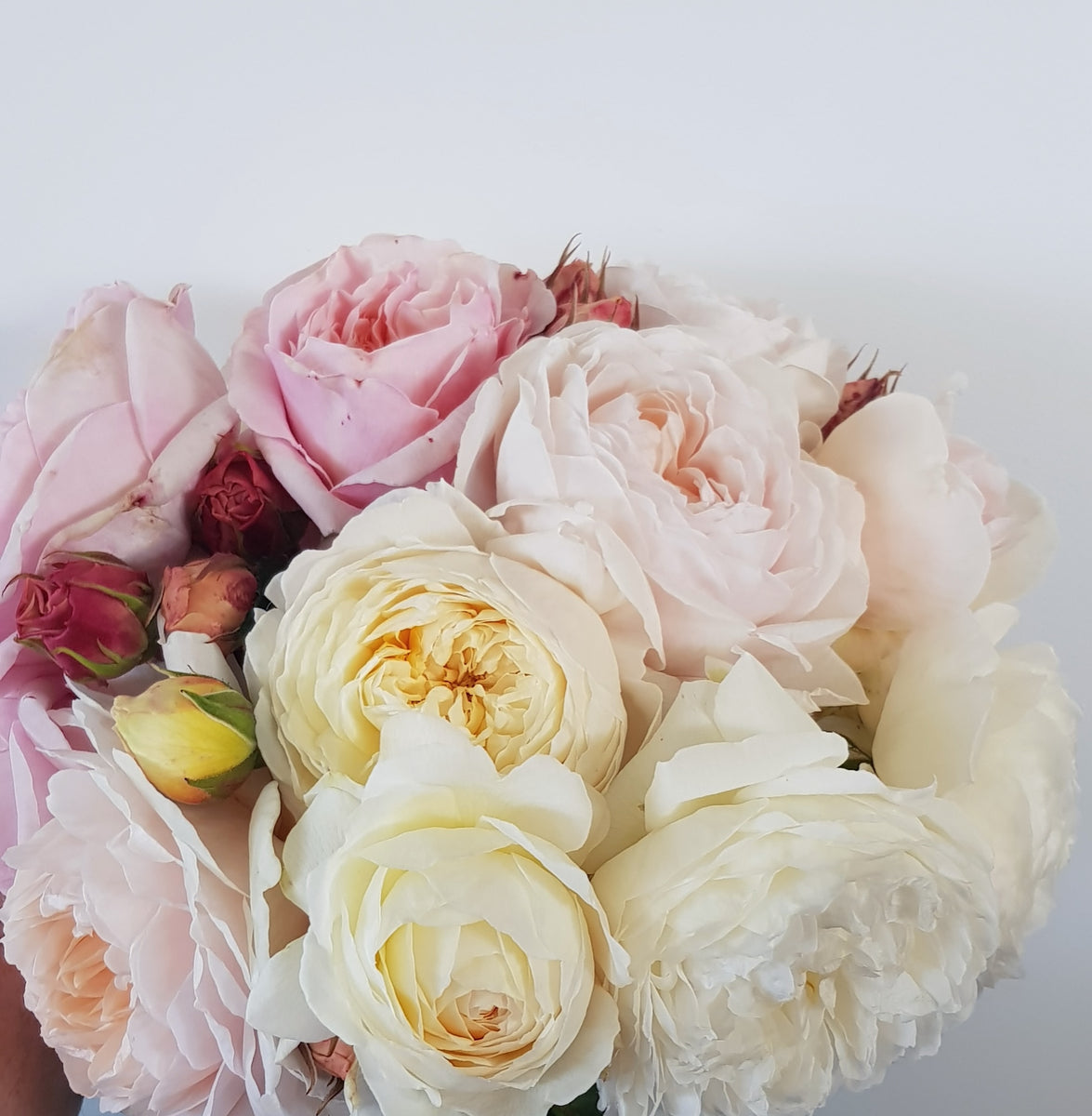 Delivery | Florals | Flour + Bloom